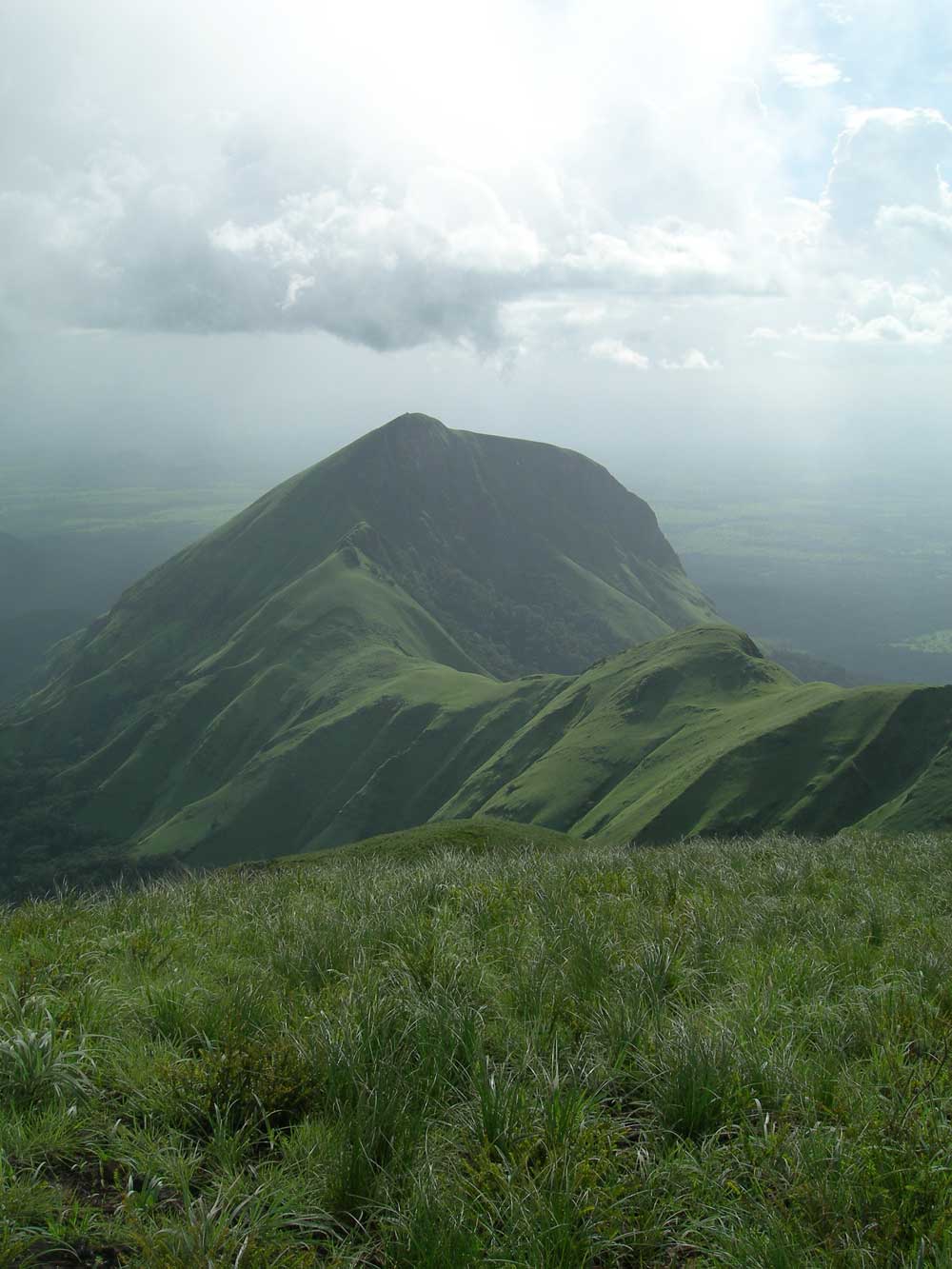 Mount Nimba in der Elfenbeinküste und Guinea – HOME of TRAVEL