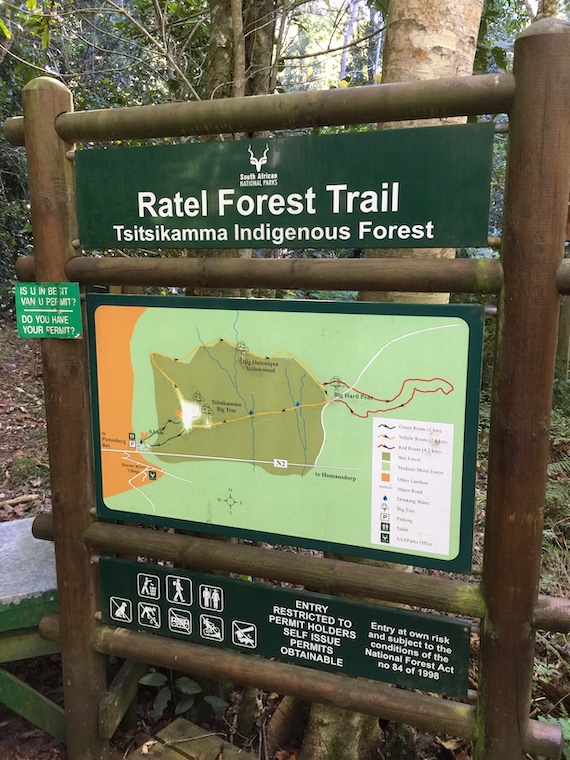 Big tree- Ratel Forest Schild – HOME of TRAVEL