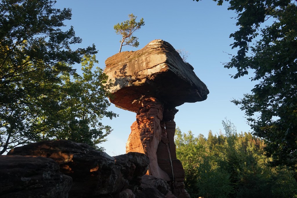 Dahner Felsenland: Faszinierende Landschaft im Pfälzerwald – HOME of TRAVEL