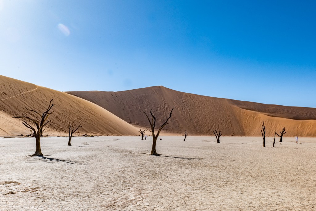 Sossusvlei & Deadvlei in Namibia: Die älteste Wüste der Welt – HOME of ...