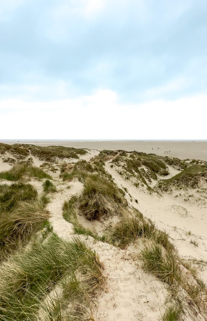 Insel Rømø: Campingurlaub an der dänischen Nordsee – HOME of TRAVEL