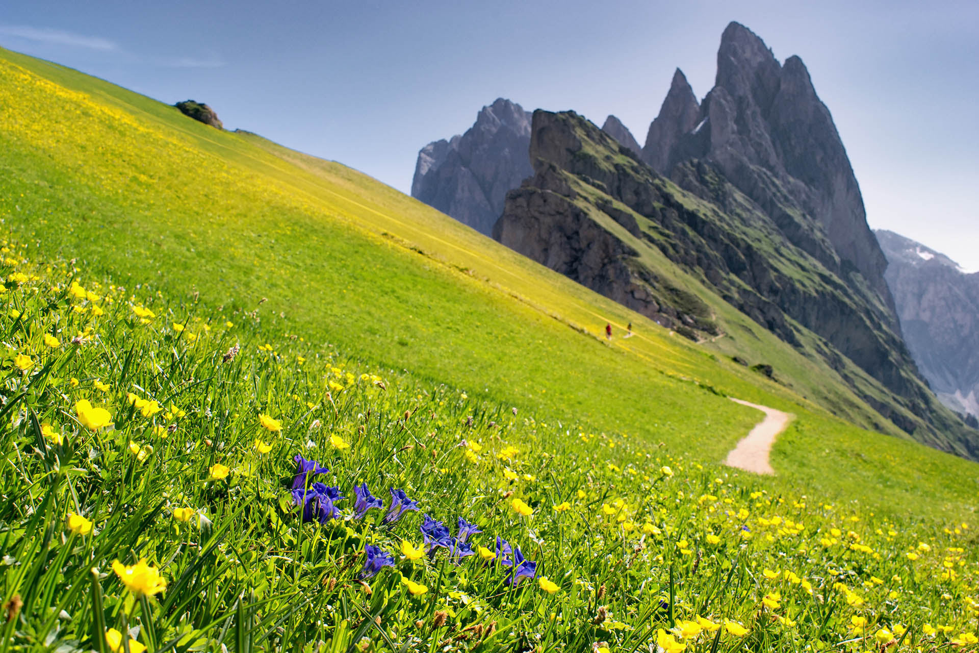 Seceda in Gröden Val Gardena – HOME of TRAVEL
