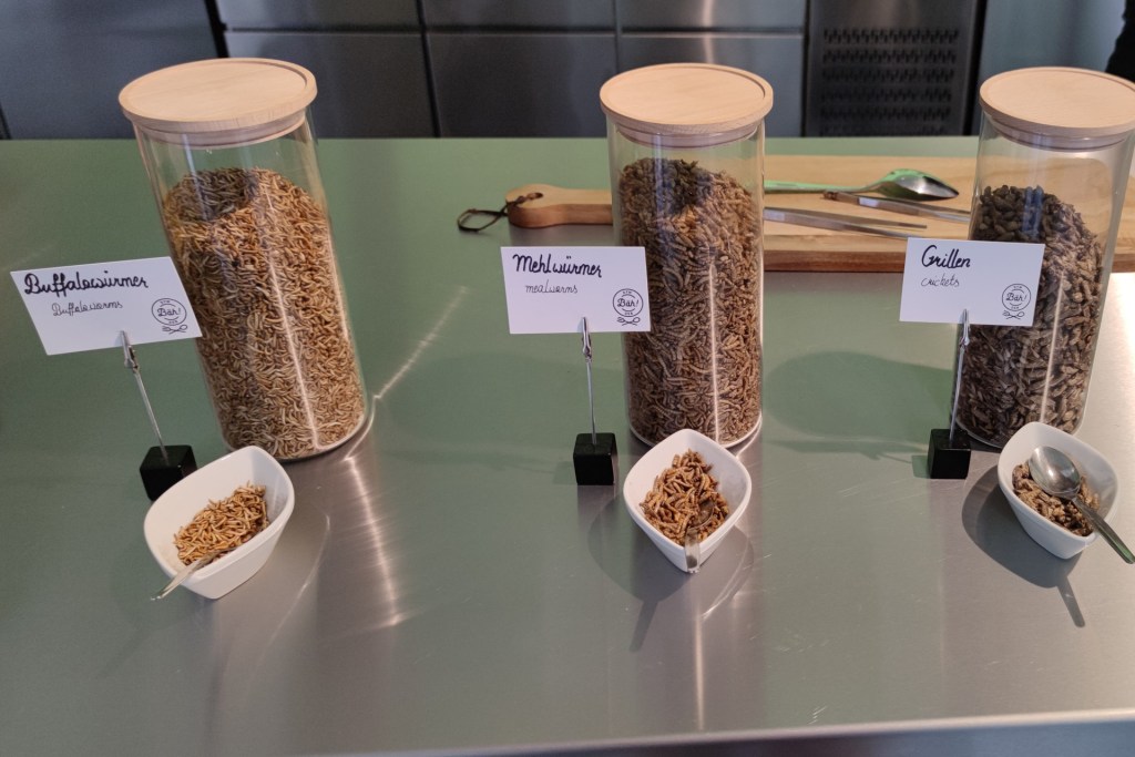 Disgusting Food Museum Berlin: Reise in die Welt des Ekels – HOME of TRAVEL