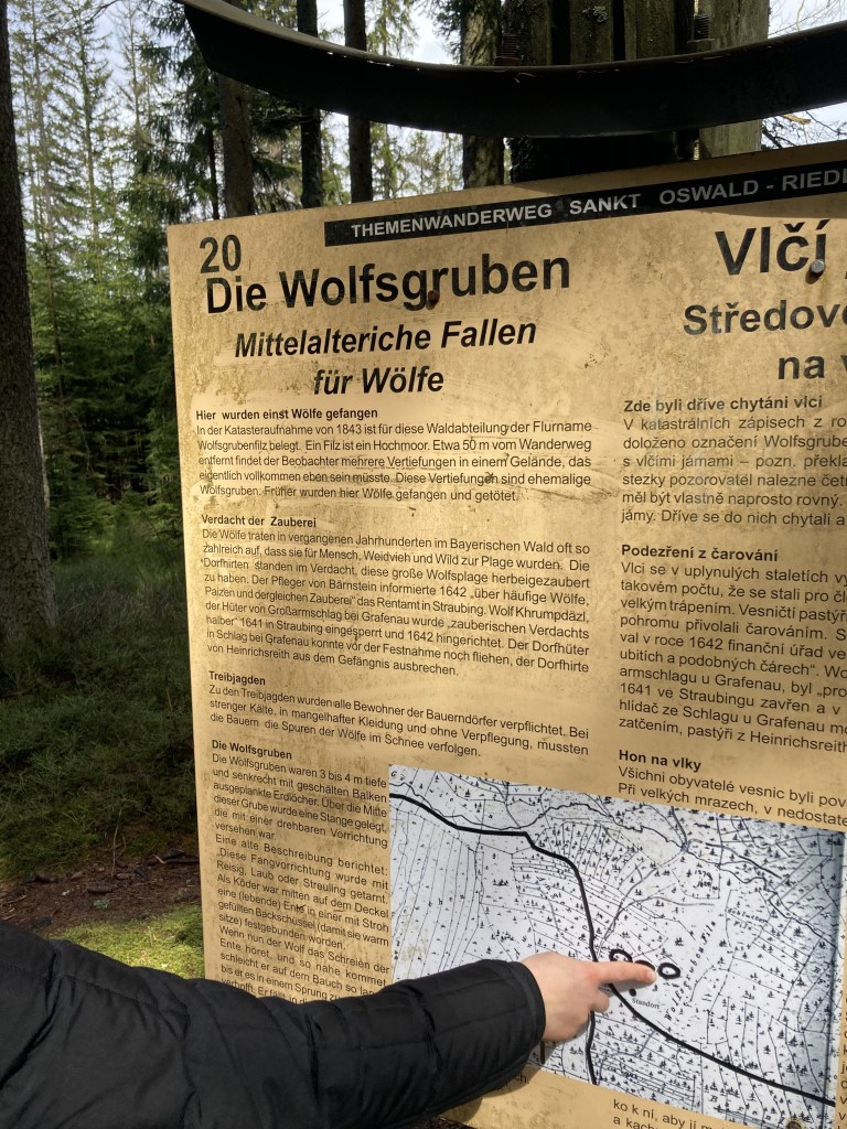 Kreuzotter-Rundweg: Moorlandschaft im Bayerischen Wald – HOME of TRAVEL