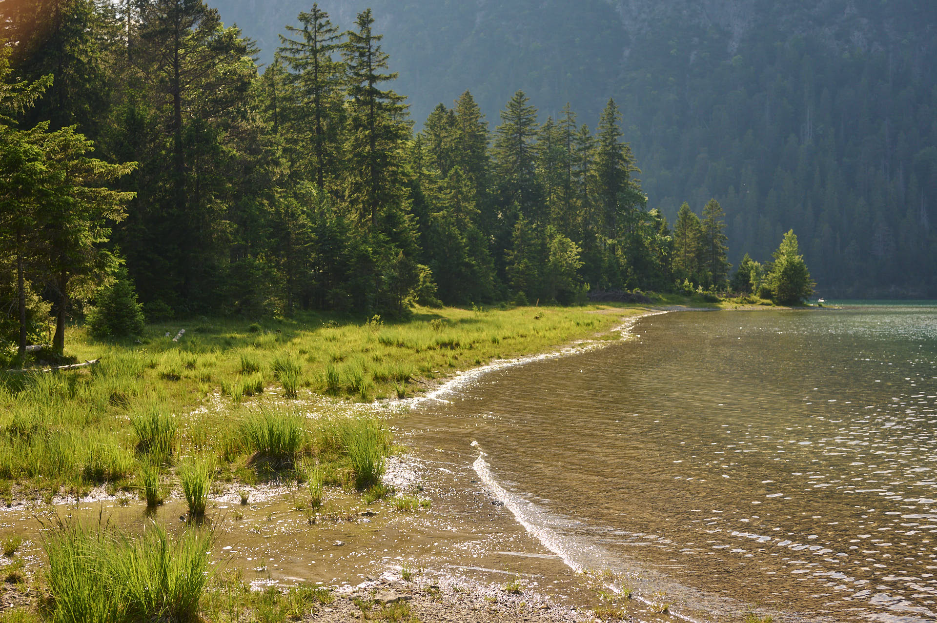 Westufer Plansee. – HOME of TRAVEL