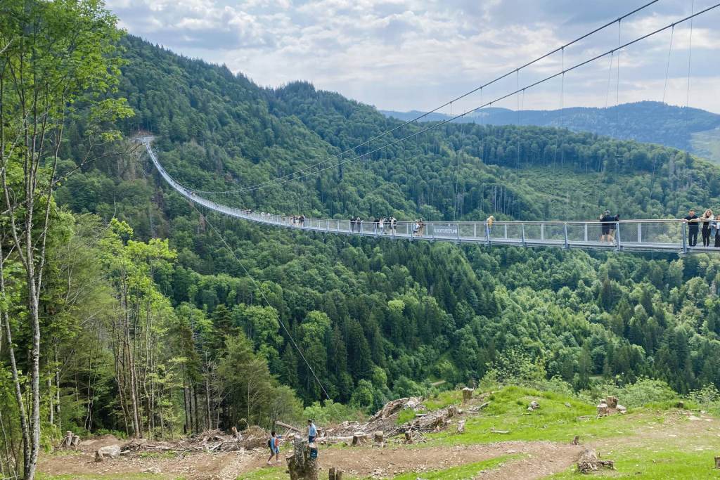 Blackforestline-Hängebrücke am Todtnauer Wasserfall – HOME of TRAVEL