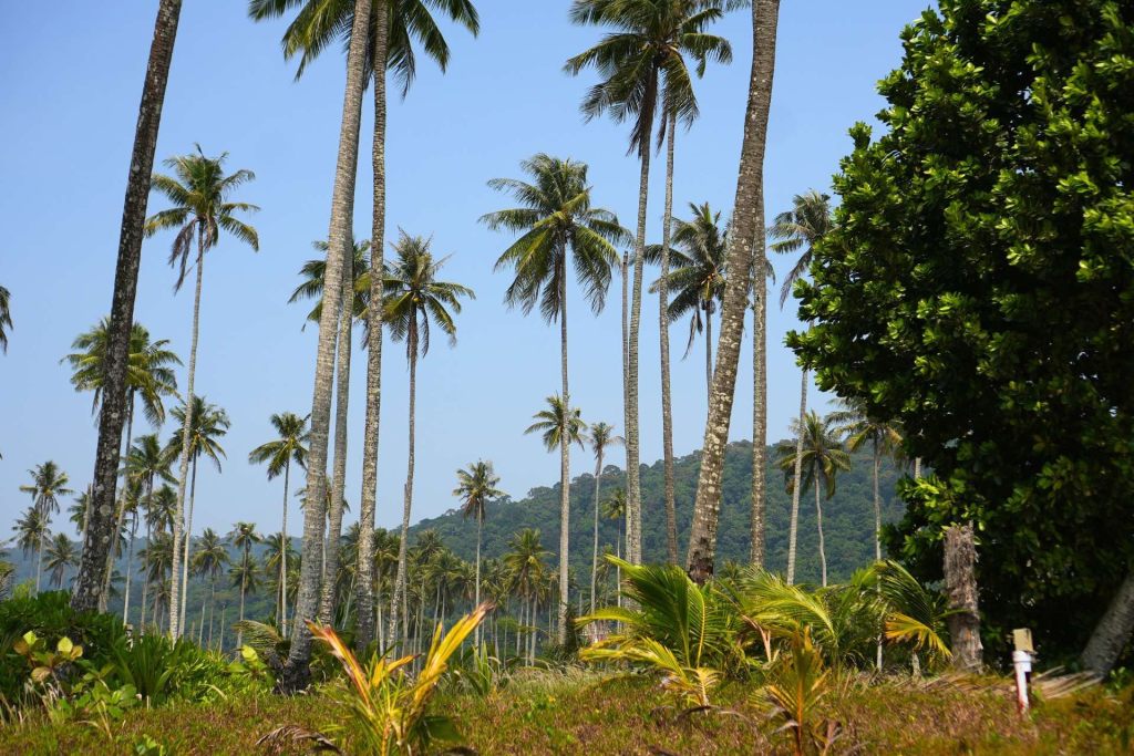 Koh Kood: Verstecktes Insel-Paradies in Thailand – HOME of TRAVEL