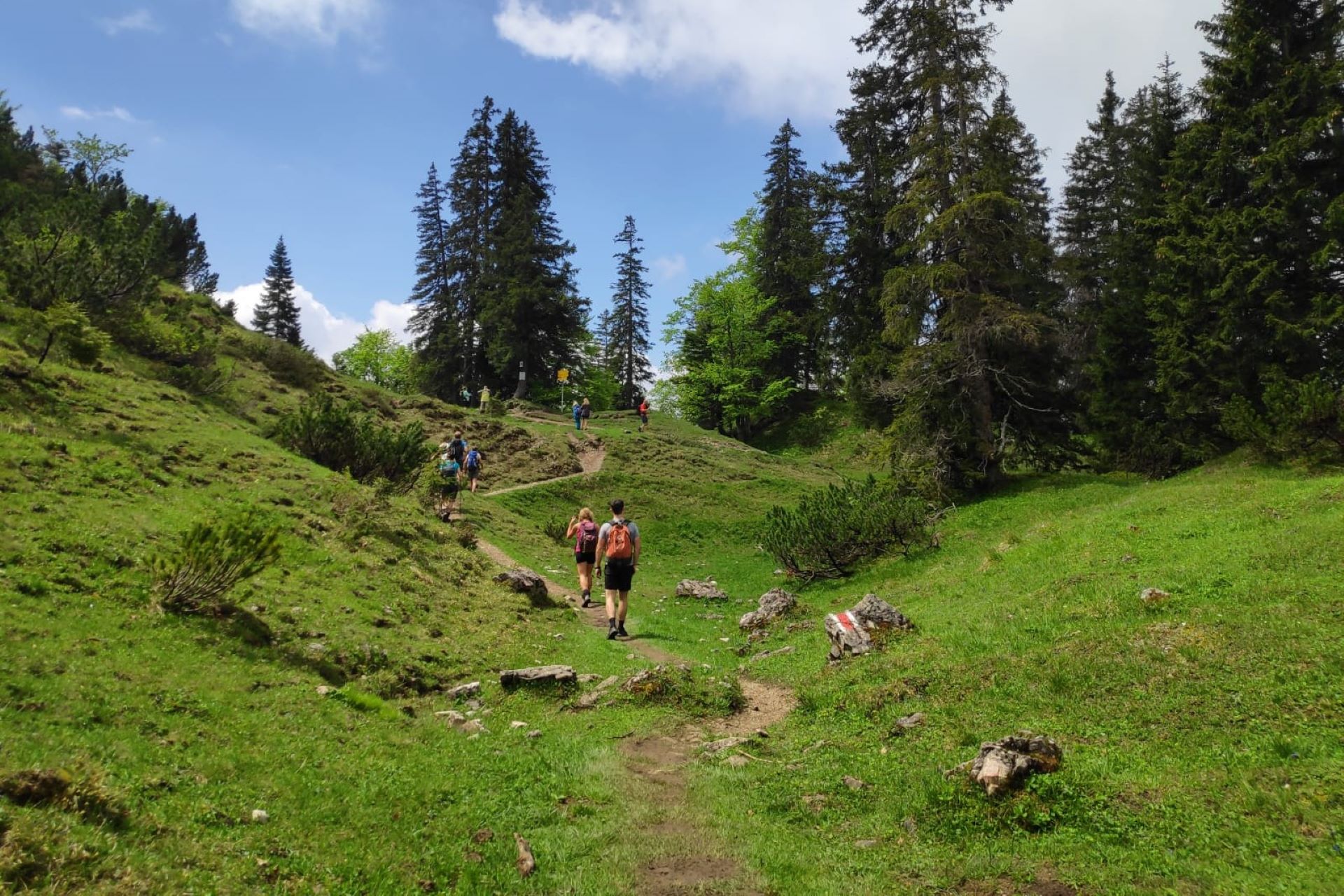 Besonders schön bei der Wanderung zum Schildenstein sind die weiten ...
