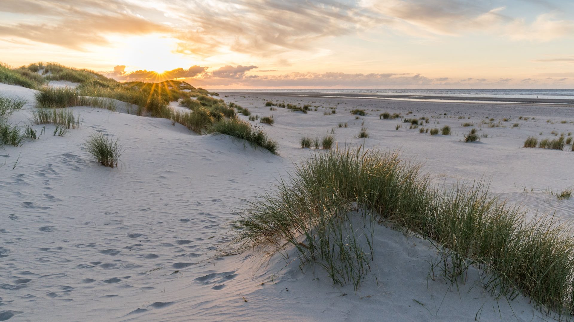 Baltrum, Dünen, Nordsee – HOME of TRAVEL