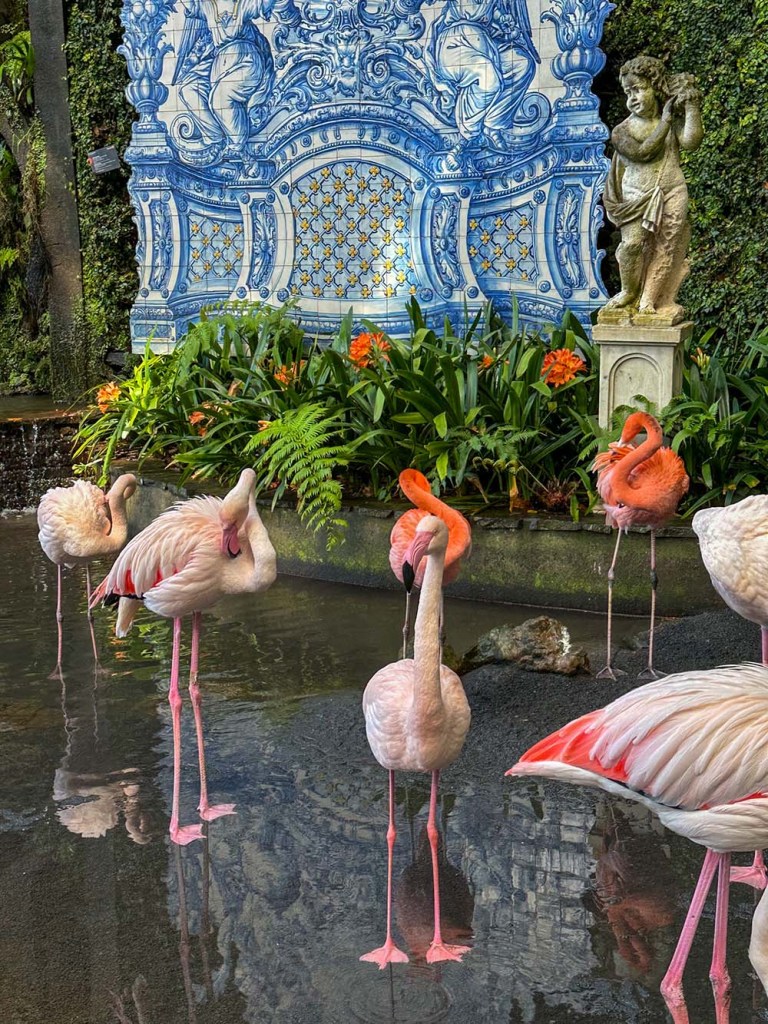Monte Palace in Funchal: Tropischer Garten auf Madeira